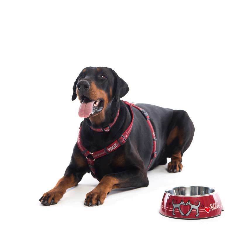 Rogz 2-in-1 Large 700ml Bubble Dog Bowl, Red Heart Design – BARF4Dogs